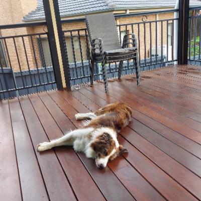 The House Sitters - the easiest way to find the right housesitter to ...