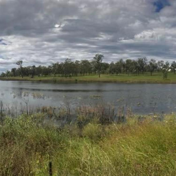 The House Sitters - Assignment: COLEYVILLE Queensland